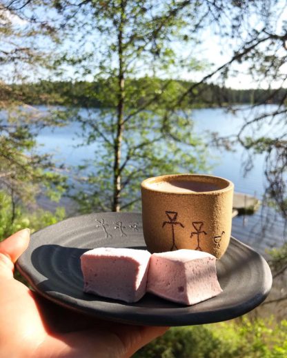 Frontpage - Bjarmia ceramics